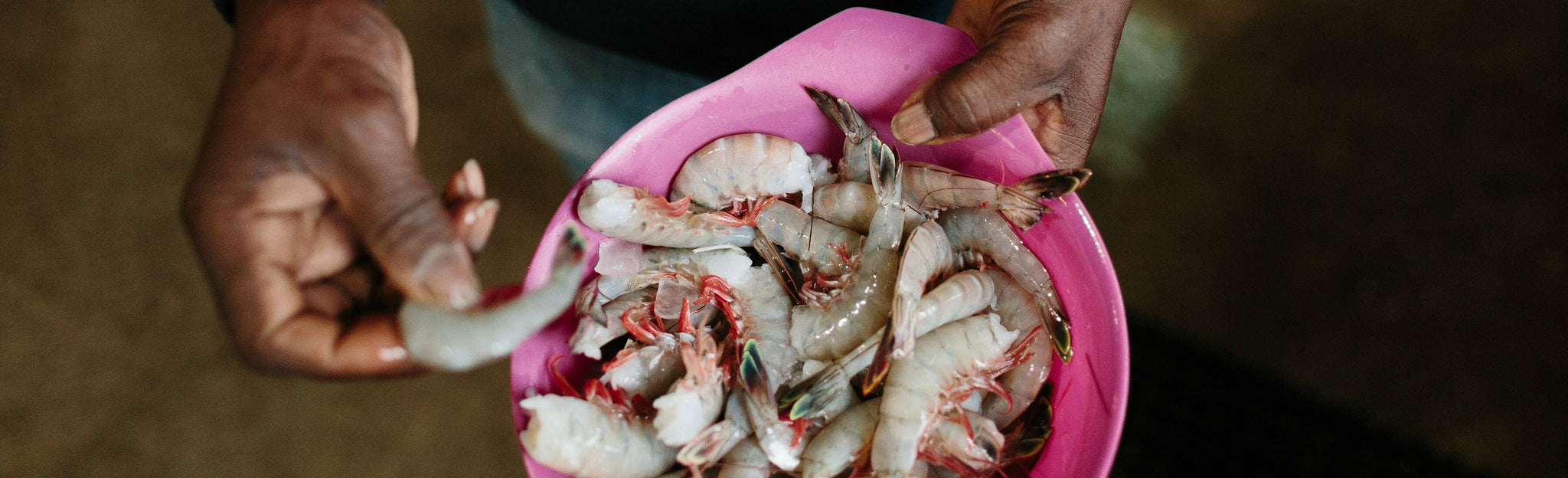 Reflections of a Veteran Shrimper